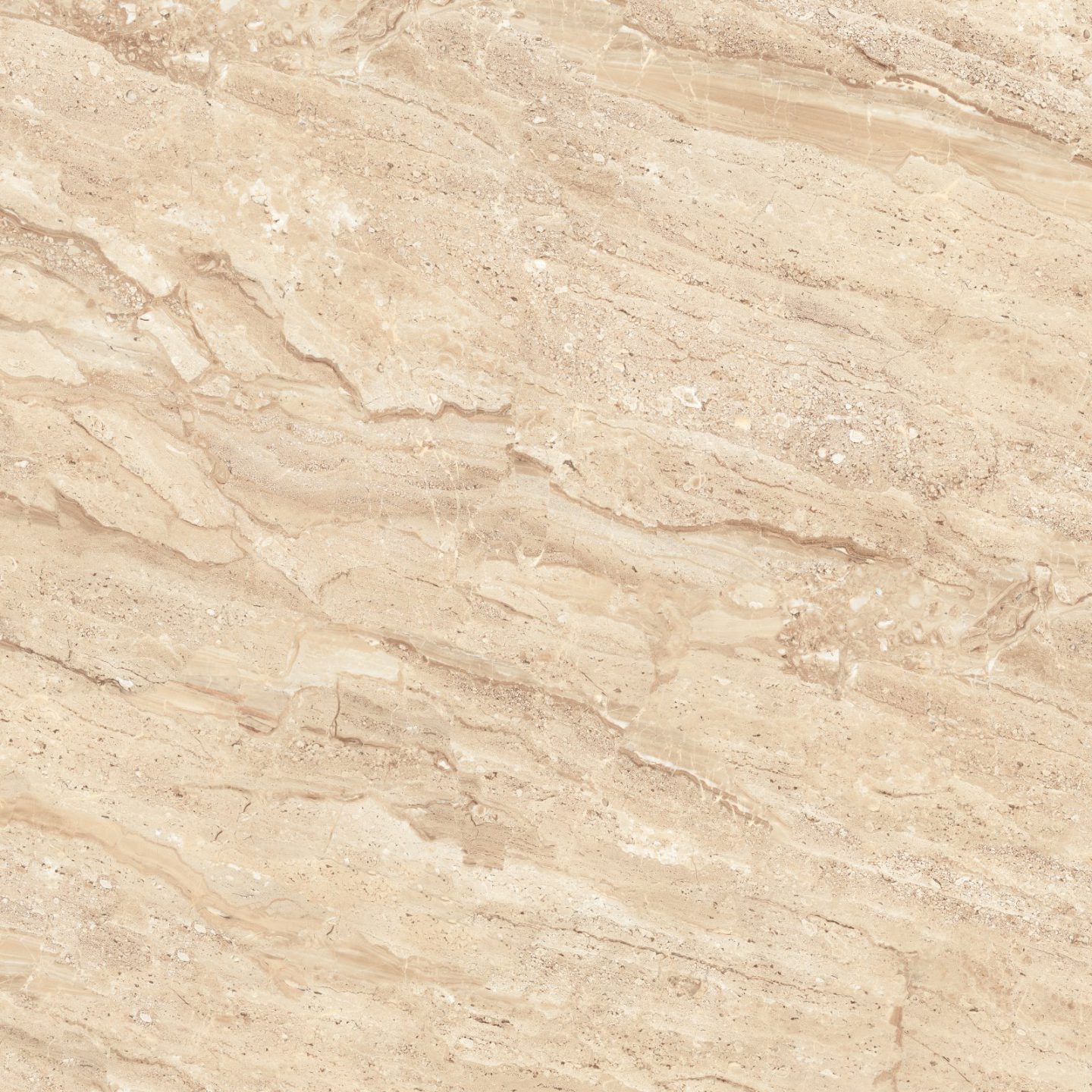 Quota - Cleopatra Ceramic Store